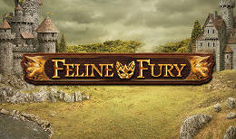 Mainstage Bingo | Feline Fury | Mainstage Bingo