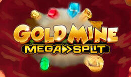 Best New Slots Site – Play Online slots at Reel Island Casino